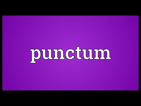 Punctum Meaning