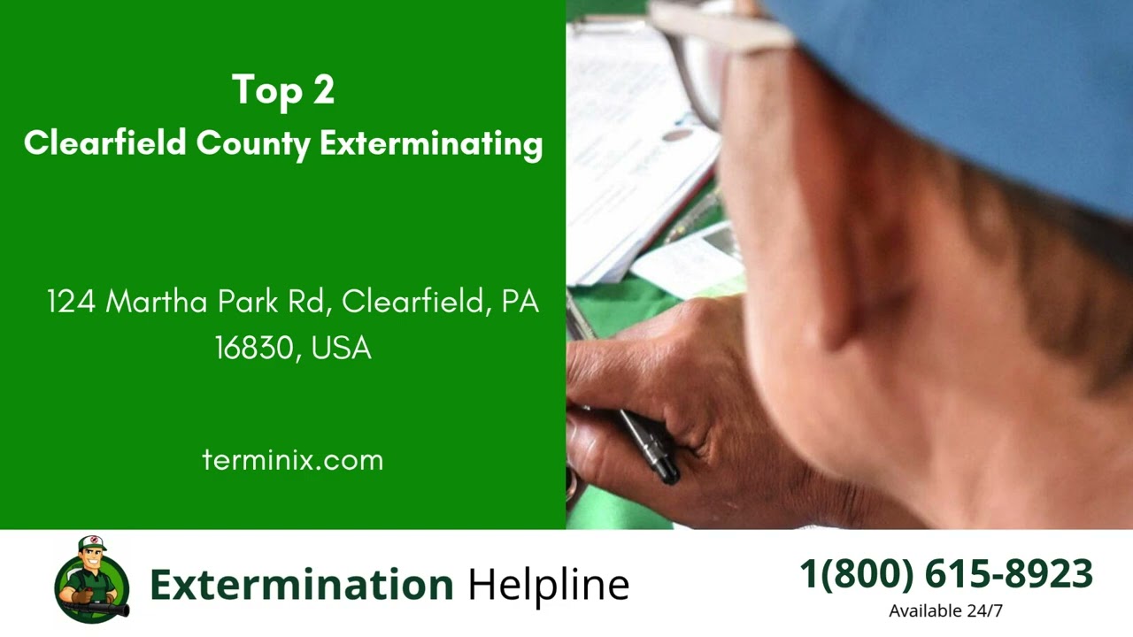 Top 3 Exterminators in Clearfield