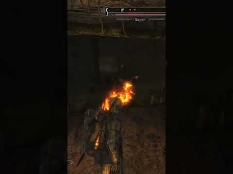 You can download mods but you can never change Skyrim.