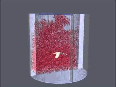 Hydrofoil in flat bottom tank (Tracer Particles)