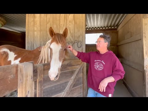 Horse Farmer Was in Best Hands Possible at South Shore University Hospital