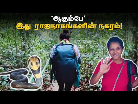 The King Cobras of Agumbe: A Wildlife Adventure | ஆகும்பே பயணம் | Travel Vlog | Hangout