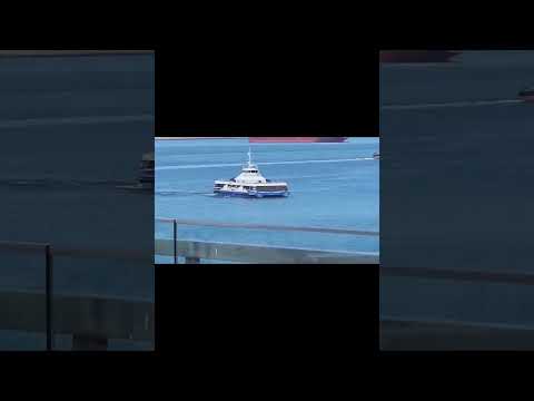 Waterfront Downtown Vancouver BC .2024 forgot date. Segaul n Crow mixπ«Άπ¨π¦ Ole CP rail station