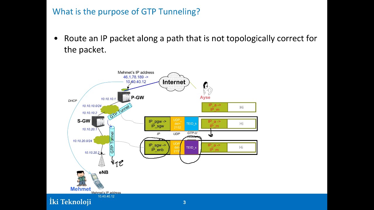 GTP Primer