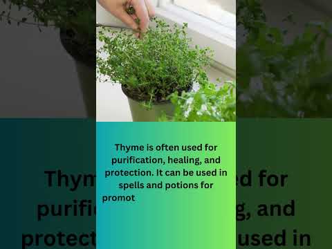 🌿✨ Did you know that thyme is not only a delicious herb but also has powerful healing properties? 🌟