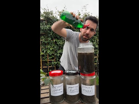 What type of soil do I have? Find out with the DIY soil jar test!