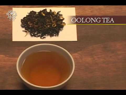 Types of Tea