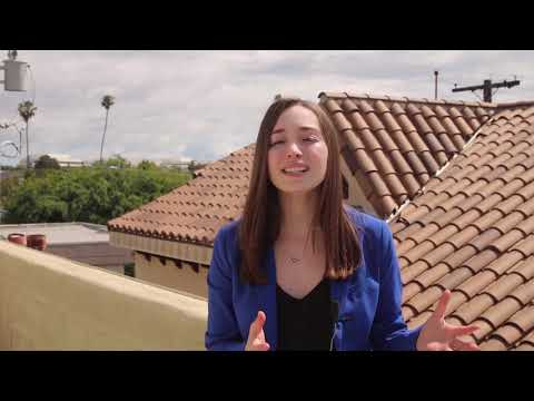 How a global pandemic impacts the globe: COVID-19 and the environment ...