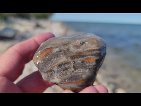 Beautiful Lake Michigan ROCK & Fossil Hunting Down a Peaceful Cliff in Wisconsin #amazing #rocks