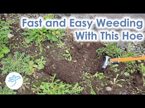 Weeding Made Quick and Easy with This Tool - The Action Hoe