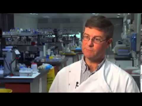 Studying Medicine at University College Dublin