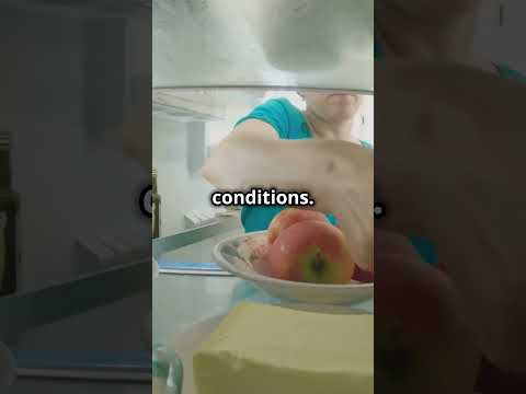 Why Does Mold Grow on Food So Fast? 🤔 #Mold #Food #Science #Growth #Spoilage