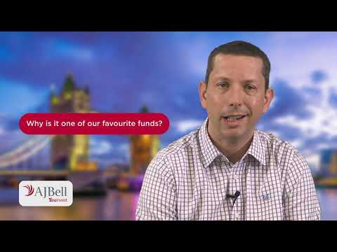 AJ Bell Youinvest Fundamentals - JP Morgan US Equity Income fund
