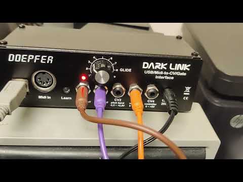 Doepfer Dark Link - Black | Reverb