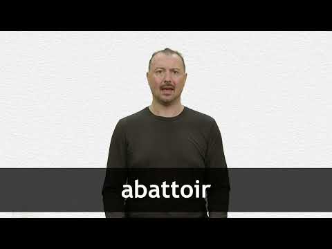 English Translation of “ABATTOIR” | Collins French-English Dictionary