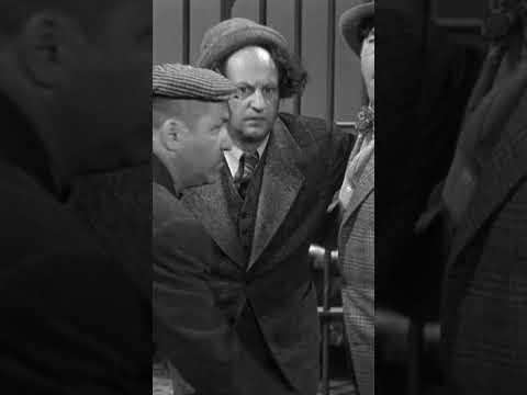 The THREE STOOGES suit up!