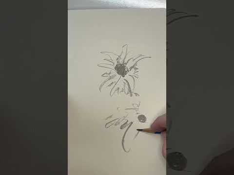 Wildflower sketching #watercolorpainting #sketching #art #artist #wynericson #arts #wildflowers