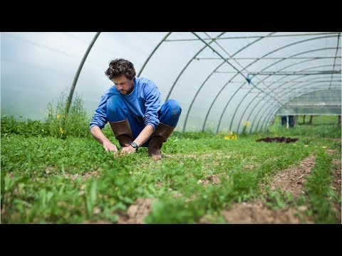 Agricultural and Food Science Technician Career Video