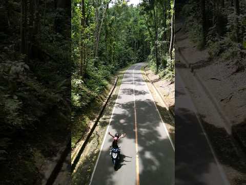 Road Trips are More Fun in Bohol Philippines | Man Made Forest #bohol