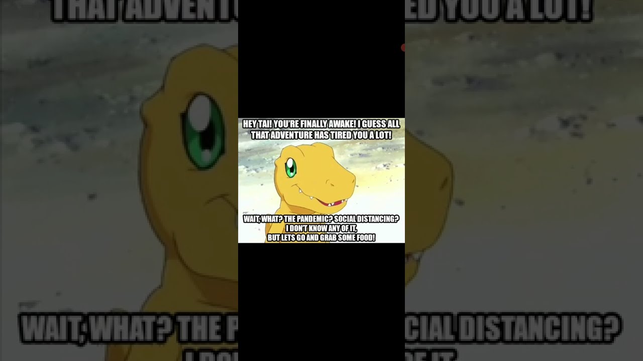 10 digimon memes