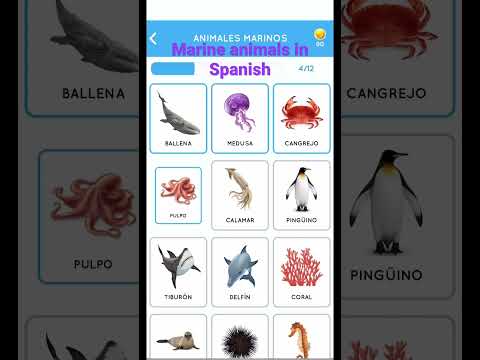 Marine animals in Spanish | Animales Marinos en Español