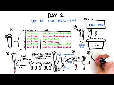 GMO Investigator Kit Student Activity Video Quick Guide
