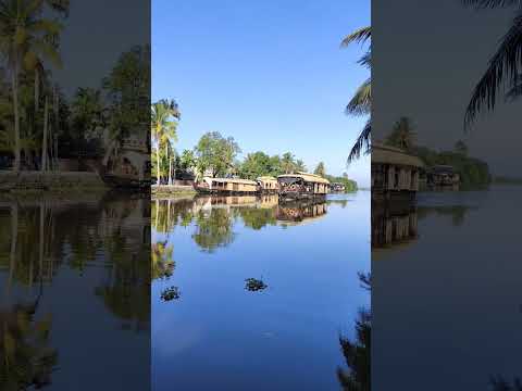 Alleppey Back water - Karela #shorts #youtubevideo #shortvideo
