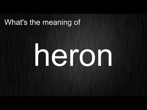 No More Confusion! Explaining "heron" Meaning, Teaching You Standard British Pronunciation!