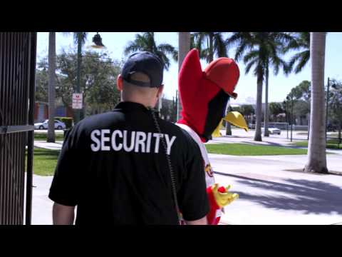 St. Louis Cardinals "Security" TV Spot