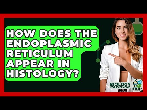 How Does The Endoplasmic Reticulum Appear In Histology? - Biology For Everyone