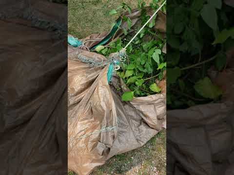 Survival Raft with brush and tarps. #shorts