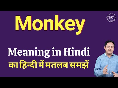 Monkey meaning in Hindi | Monkey ka kya matlab hota hai | daily use English words