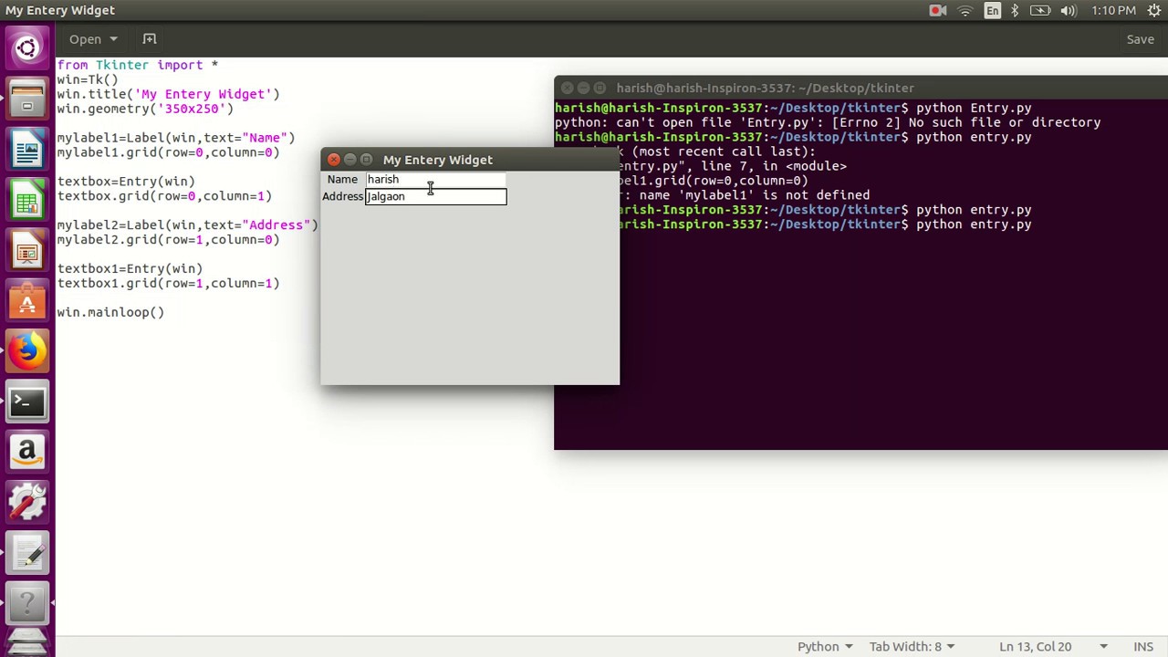 Python Tkinter-Entry