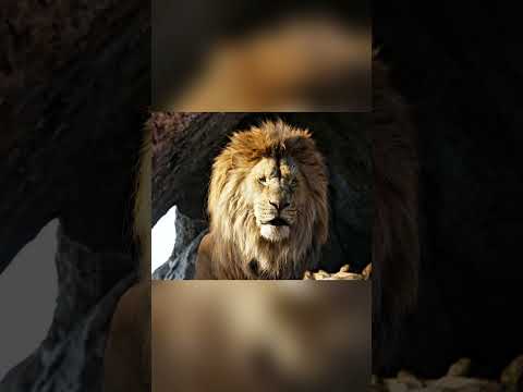 Why Scar Killed Mufasa In The Lion King ?๐ฎ