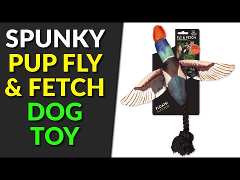 Spunky Pup Fly & Fetch Dog Toy