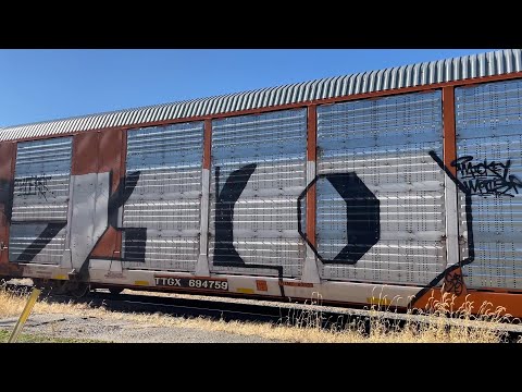 Curious 710 #train