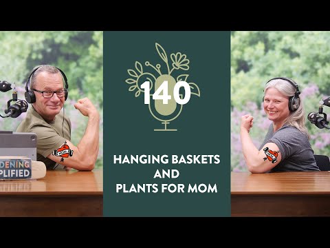 Hanging Baskets, Tulips, and Plants for Mom | 140