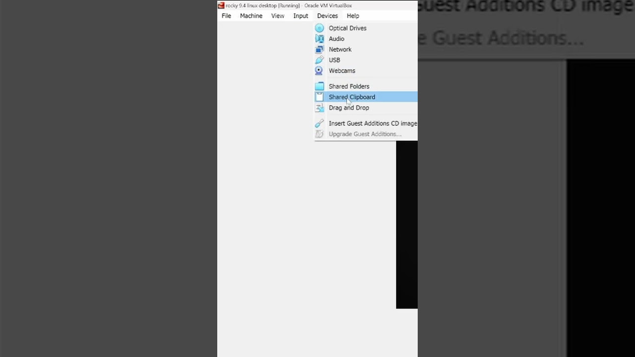 How to Enable Bidirectional Shared Clipboard on VirtualBox VM
