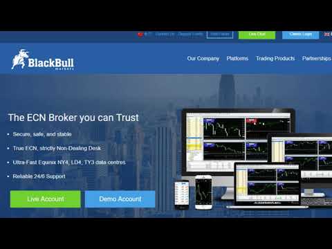 BlackBull Markets review (2022) Good ECN broker or not?