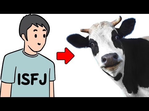 MBTI 16 personalities as Animals 🤣