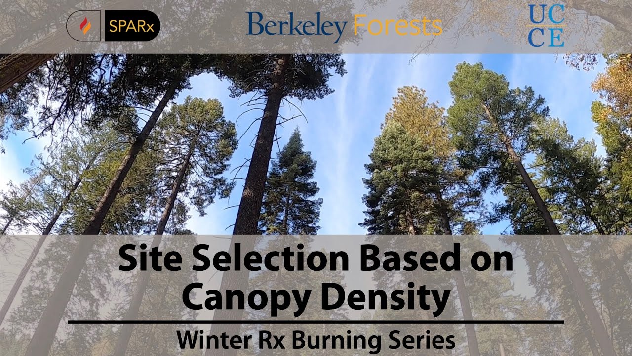 Site Selection Based on Canopy Density