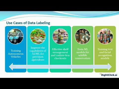 Data Labeling Service Guide