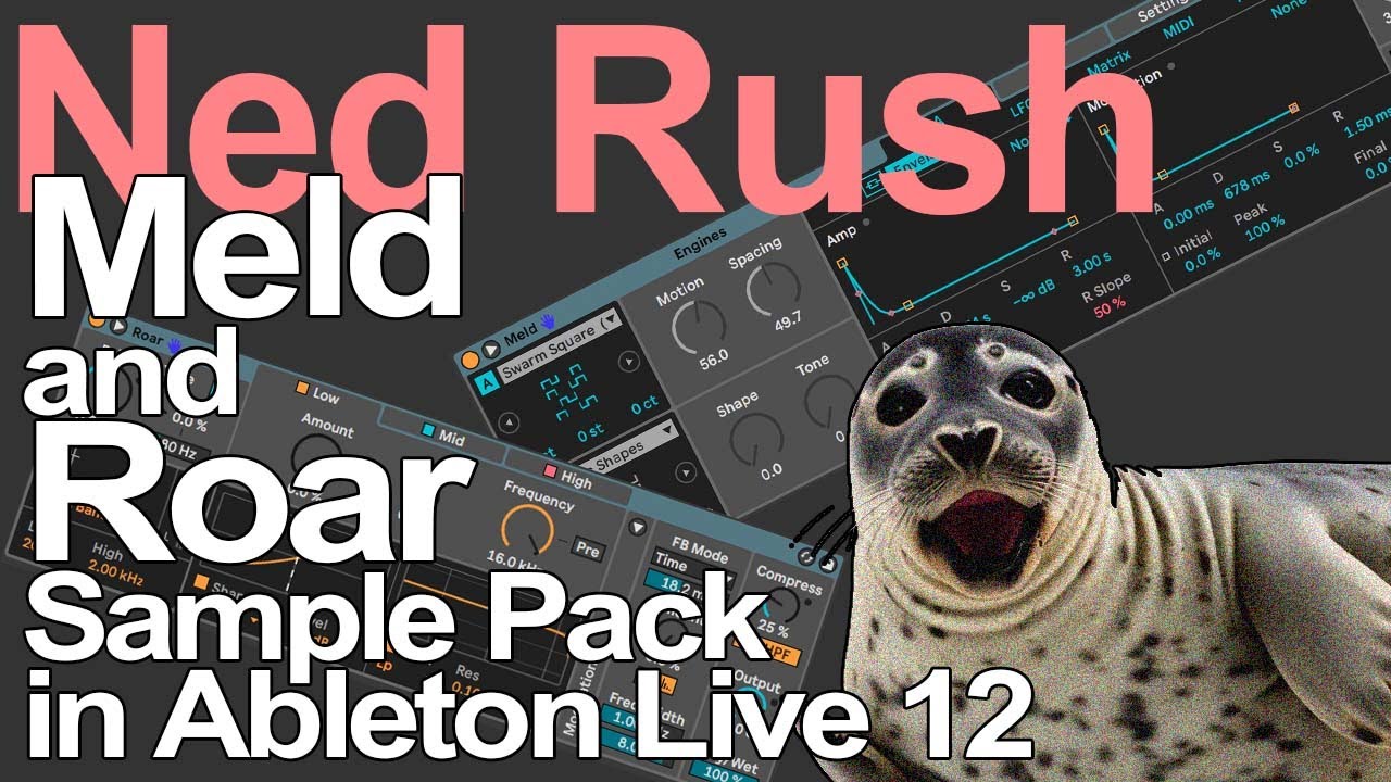 Ableton Live 12 Tutorial - Meld and Roar Sample Pack = Ned Rush