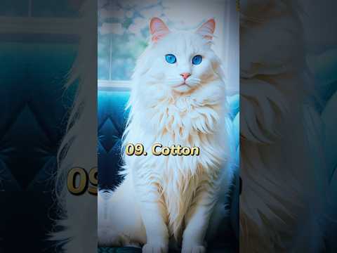 Top 10 best names for white cats #cats #names #shortsviral