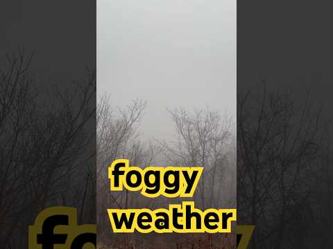 foggy weather