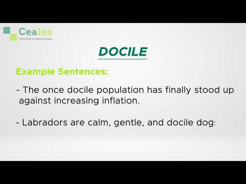 Learn How to Use Docile - meaning, synonyms, antonyms, and example sentences.