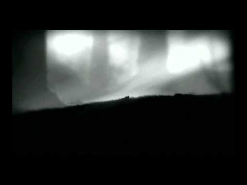 Steam Community :: Video :: LIMBO Ending - PC (steam) HD