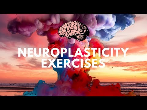 Neuroplasticity Exercises Course | Rewire Your Brain with Neuroplasticity