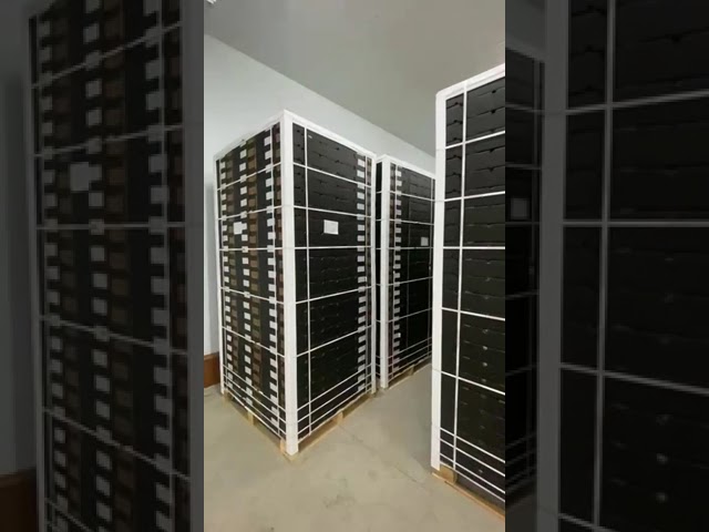 Export Packing Boxes - Grape Export Boxes Trader - Wholesaler ...