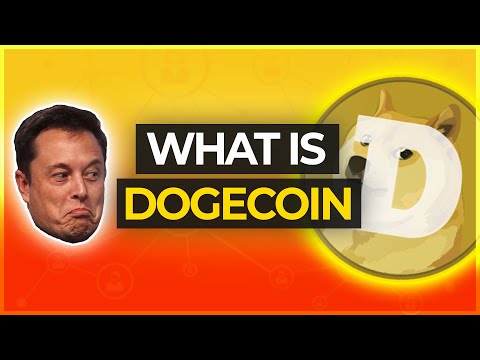 What is Dogecoin? | 🐕 Dogecoin EXPLAINED!
